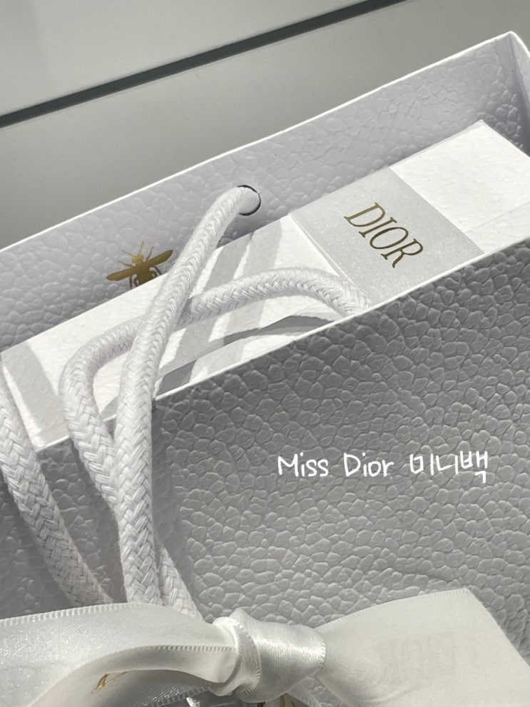 W9디올 Miss Dior 미니백 블랙 구매 후기feat롯데 웨딩 더블마일리지 적립 네이버 블로그