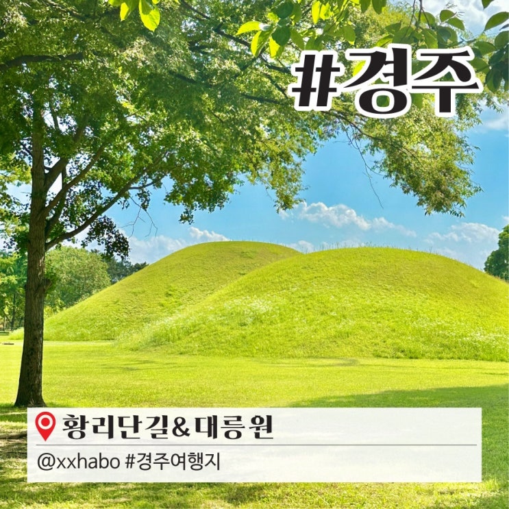 경주 여행 명소 대릉원 아이들이랑 다녀오기 좋은 황리단길 포토존 주차 정보 네이버 블로그