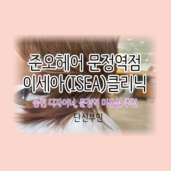 문정동미용실 준오헤어문정역점 이세아클리닉 후기 Wt 송현 디자이너 네이버 블로그