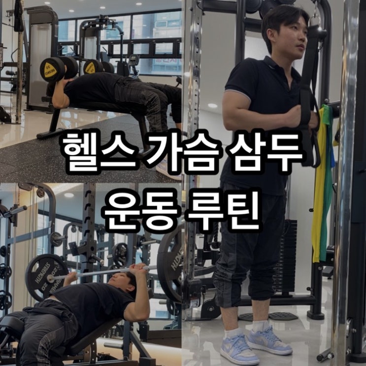헬스 가슴 삼두 운동 루틴 덤벨 체스트 프레스 바벨 인클라인 프레스 케이블 푸쉬다운 네이버 블로그