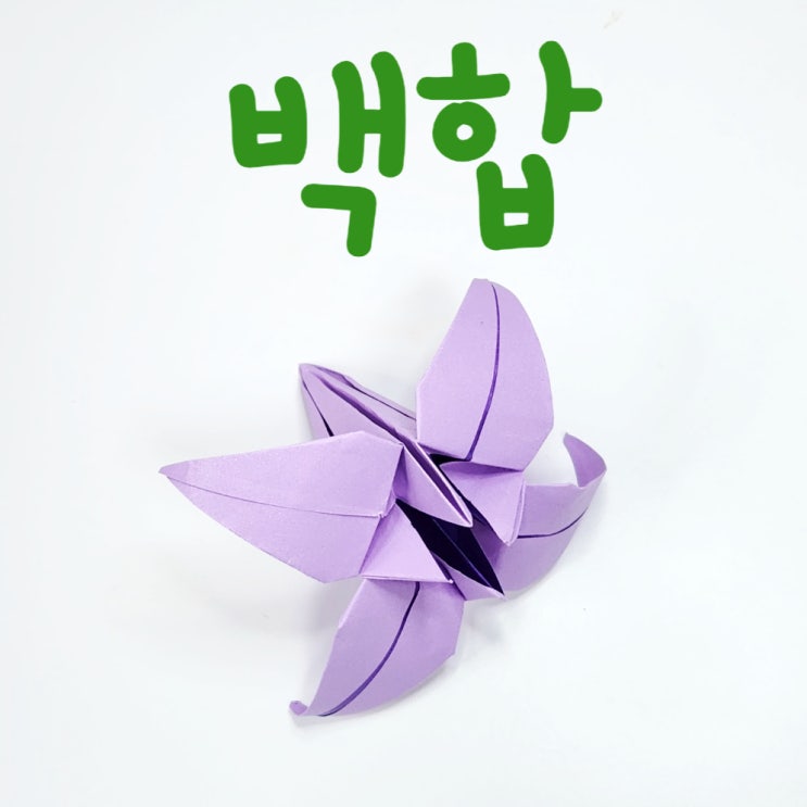 백합꽃 종이접기 쉬운 꽃 접는방법 네이버 블로그