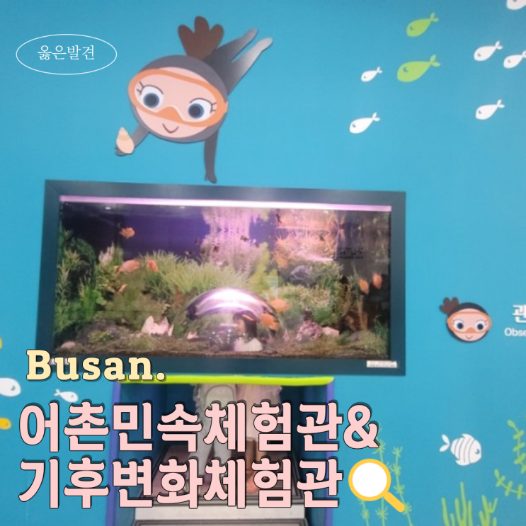 부산 아이와 가볼만한 곳 화명동 부산어촌민속관 기후변화체험관 네이버 블로그