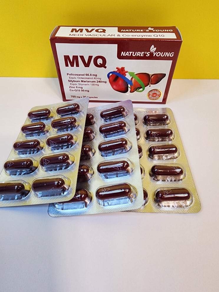 호주 간영양제 네이쳐스영 MVQ 간건강 챙겨야하는 이유 : 네이버 블로그