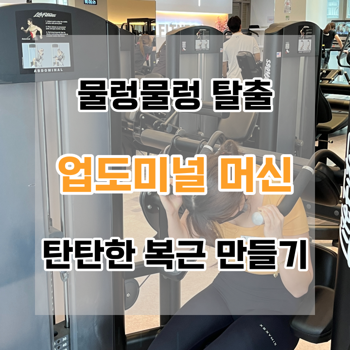 [하남헬스/미사헬스/미사pt/하남pt/메가나인피트니스] 업도미널 머신으로 탄탄한 복근 만들자! : 네이버 블로그