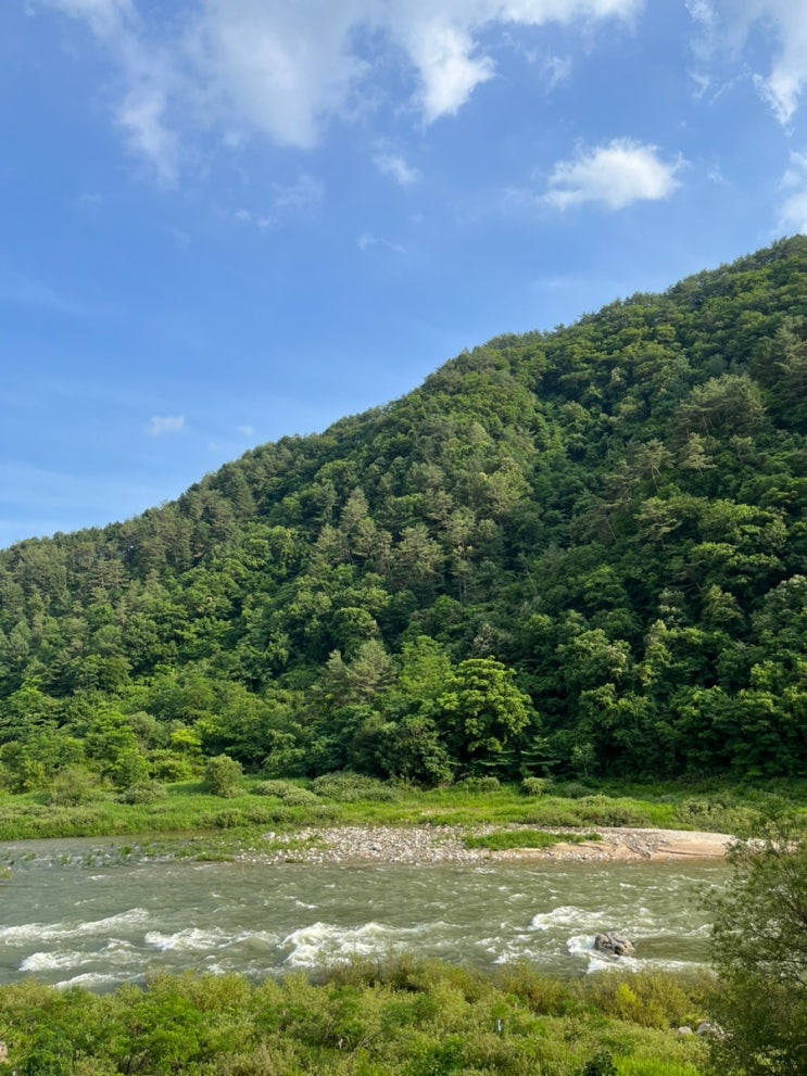 [강원/인제] 맑은물 리조트 / 반려견 동반 가능 숙소 : 네이버 블로그
