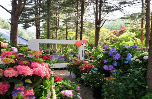 경기도꽃구경 화담숲 양평세미원 율봄식물원 아침고요수목원 7월에 가볼만한곳 네이버 블로그