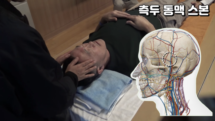 396. 망막색소변색증으로 망막 파손 실명 직전 KSNS KSS 스본 스도 사례 : 네이버 블로그