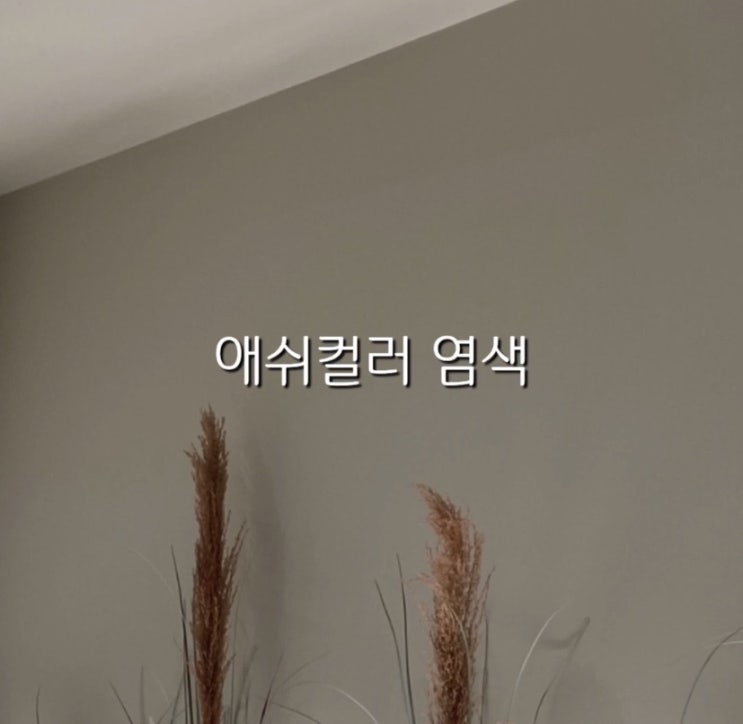 대구동성로미용실 단발 염색 애쉬컬러 테슬컷 후기 온헤어 4호 아뜰리에 솔직후기 네이버 블로그