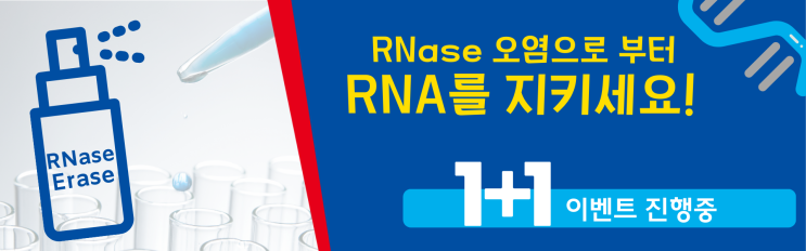 RNase로 부터 소중한 RNA를 지키세요 : RNase Erase 1+1 이벤트 : 네이버 블로그