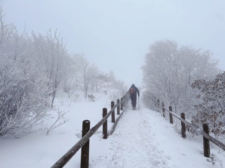소백산 겨울 소백산 어의곡~을전코스 14km 등린이 코스 준비물 난이도 소요시간 원점회기 네이버 블로그