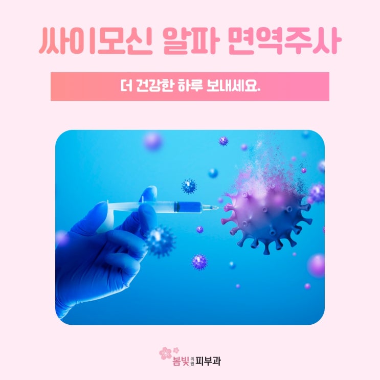싸이모신 알파 면역주사 더 건강한 하루 보내세요 네이버 블로그