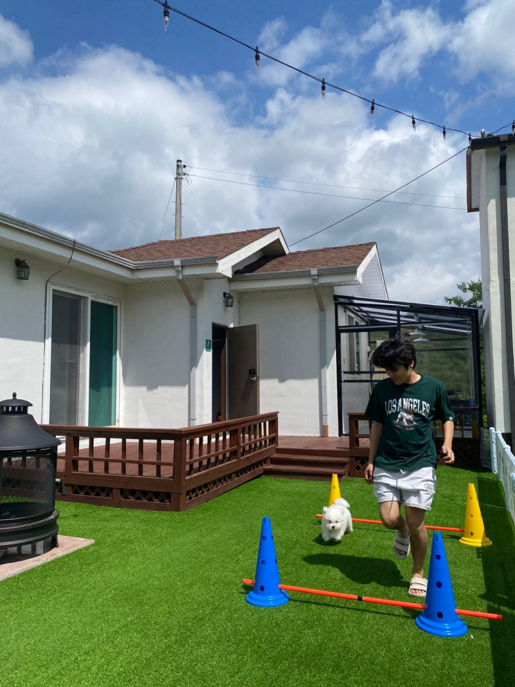 1박2일 단양여행 애견펜션 추천 단양 댕댕이 애견 독채 펜션 블랙개별 바페큐장 애견 수영장 구비 단양 애견동반 펜션