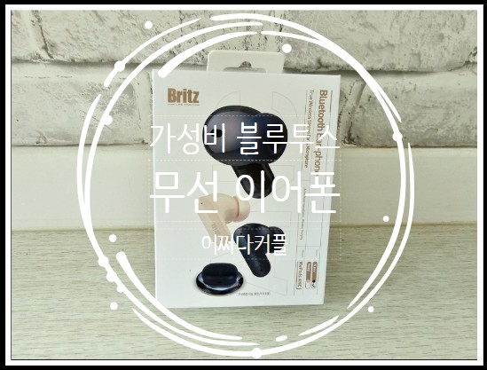 가성비 노이즈캔슬링 무선 이어폰 브리츠 Mepods ANC : 네이버 블로그