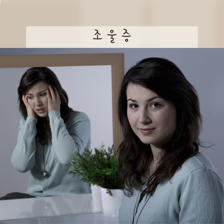 조울증 증상 원인 약 진단 치료법 자가진단 양극성 정동장애 한 번에 보세요 네이버 블로그