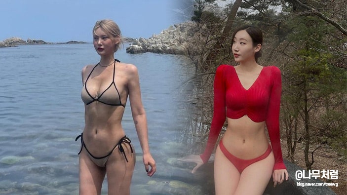 2억9천:결혼전쟁, 눈길가는 10커플 출연진의 직업과 나이(ft. tvn 일요일예능) : 네이버 블로그