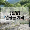 밀양 얼음골 계곡 가족 여행 평상 대여 닭백숙 먹기 네이버 블로그