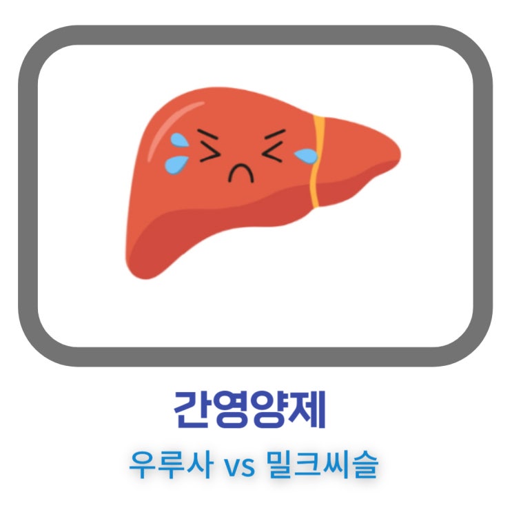 약사가 알려주는 간영양제 우루사udca Vs 밀크씨슬실리마린 성분 비교 우루사 종류 가격 네이버 블로그