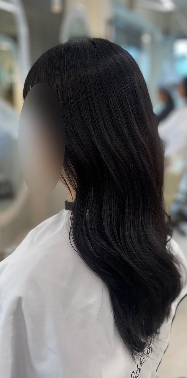 서울강서가양 26도헤어 가양역점염색초코푸들탈출기feat 가양미용실 네이버 블로그