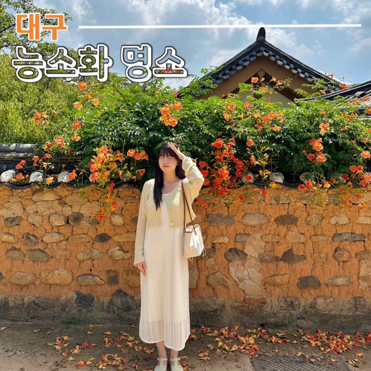 대구 능소화폭포 And 남평문씨본리세거지 현상황 헛걸음금지 네이버 블로그