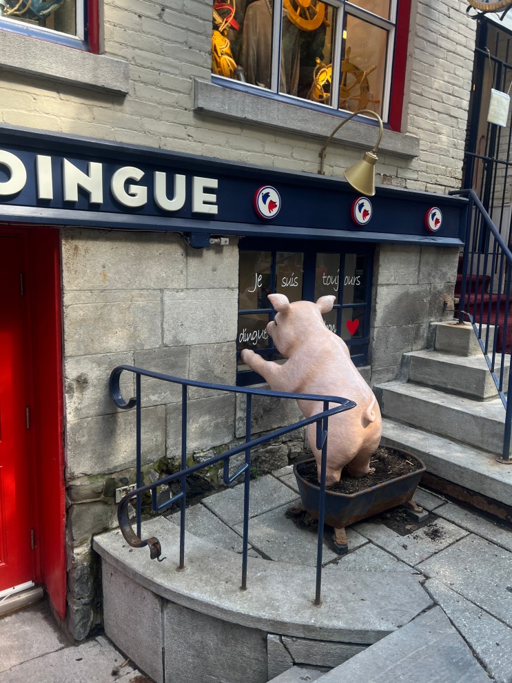 토론토 체크인 #04-4 퀘벡 맛집 미친돼지 cochon dingue 후기+메뉴추천 (목부러지는 계단, 도깨비 빨간문 주변 ...