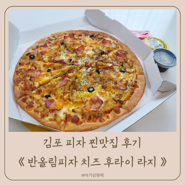 김포피자 피자맛집 반올림피자 김포점 치즈후라이 찐맛집 리얼후기 네이버 블로그