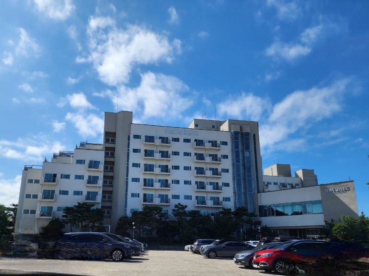 속초 고성 여행 속초 고성 오션투유리조트 에서의 핫한 2박3일 네이버 블로그
