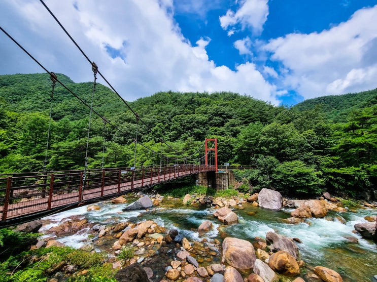지리산/대원사계곡,소막골 계곡길 트레킹 시원한 계곡에 반하다. : 네이버 블로그