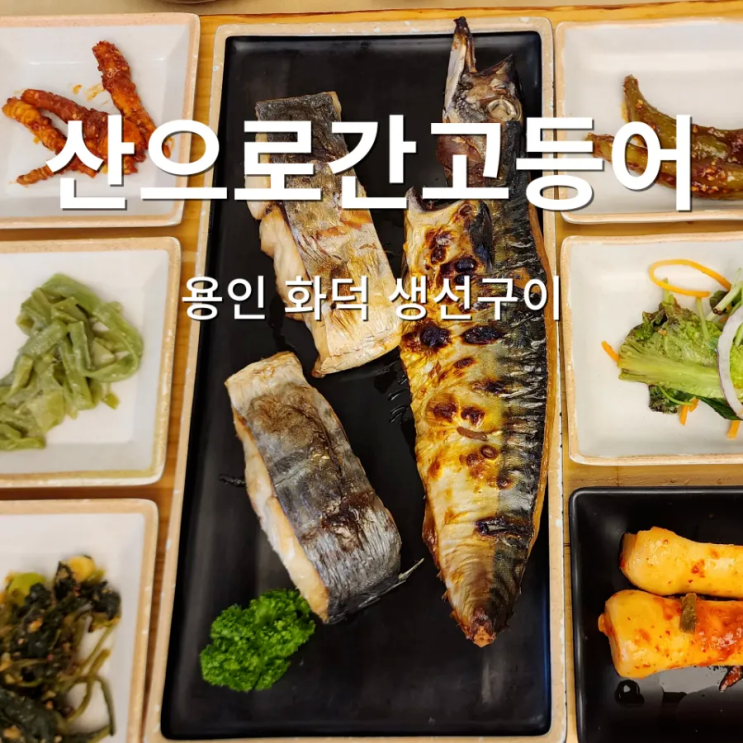 용인맛집 고기리 산으로간고등어 화덕 생선구이 네이버 블로그