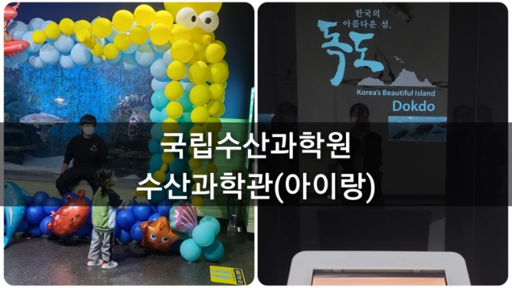 부산 기장 아이랑 가볼만한곳 실내에서 놀기좋은 국립수산과학원수산과학관 네이버 블로그