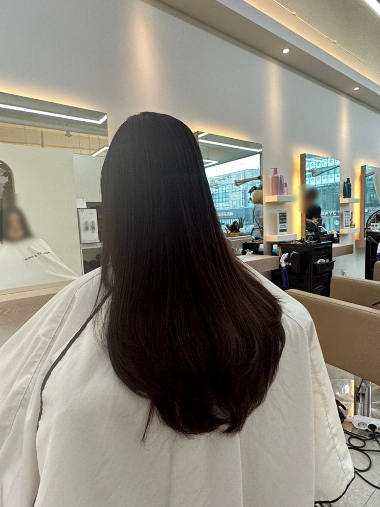화곡 까치산역 미용실 포레스트s헤어 까치산역점 밀본클리닉레이어드 컷 후기 네이버 블로그