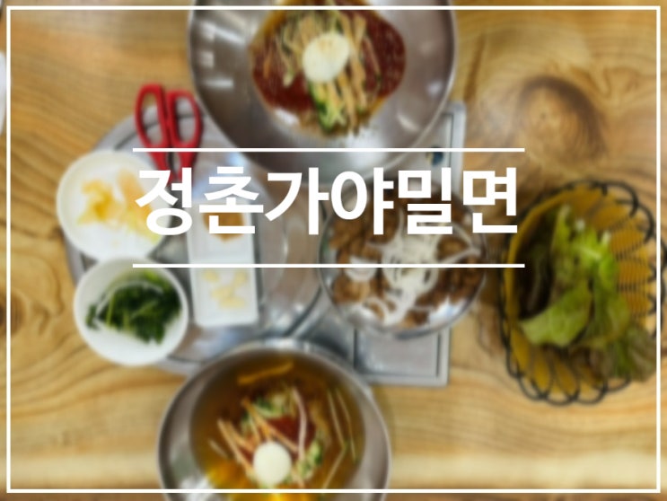 [진주] 진주에서 맛있는 밀면을 먹고싶다면, "정촌가야밀면"(진주밀면맛집/진주정촌맛집/내돈내산) : 네이버 블로그