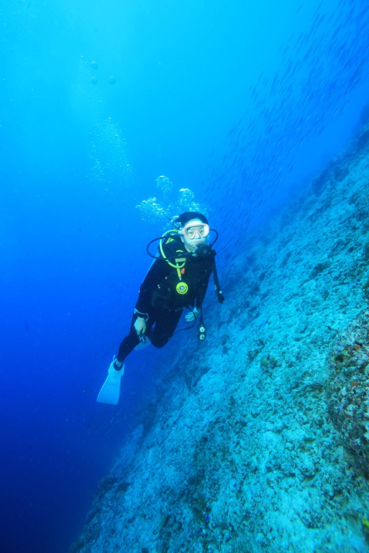 세부 모알보알 '준다이브 June Dive'에서 오픈워터 라이센스 땄어요! (SDI 오픈워터) #스쿠버다이빙 #내돈내산 ...