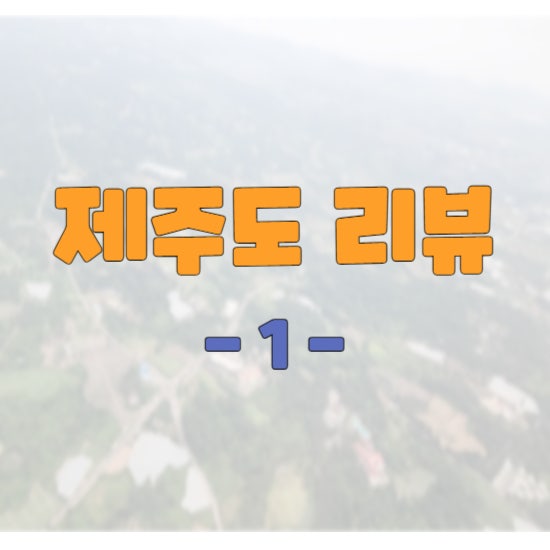 제주 여행 서귀포 코업시티 호텔 코리아마트 가성비 회포장 후기 네이버 블로그