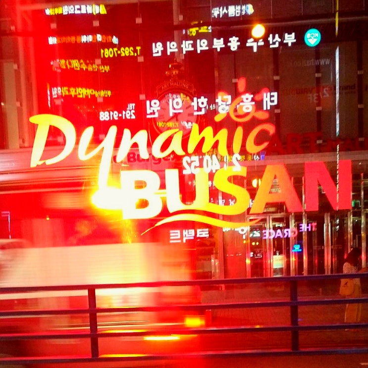 영화로운 일요일, Dynamic Busan 그리고 영화들/넷플릭스추천 : 네이버 블로그