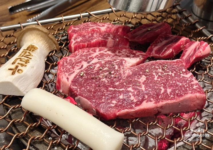 광화문 종각역 맛집 뚝심한우 광화문점 찐 소고기 점심 식사 후기 네이버 블로그