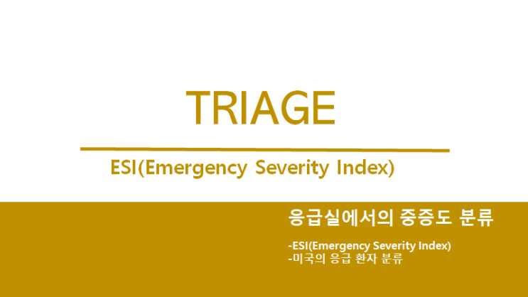 (1) ESI Triage - 미국의 병원 내 중증도 분류(응급실) ESI(Emergency Severity Index)의 소개 ...