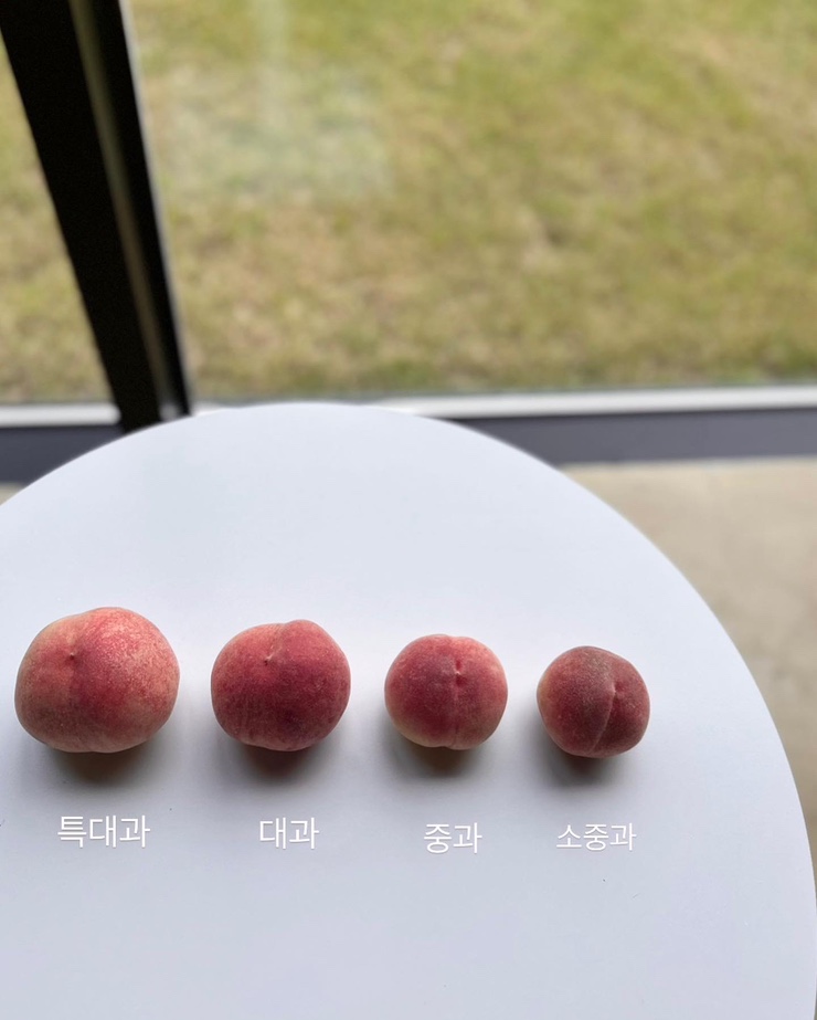 (공지)📌대극천 중과/중소과 오늘오픈 & 내일 극소량 대과 스포해요🍑 : 네이버 블로그