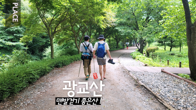 맨발걷기 좋은곳 광교산 등산코스 반딧불이 형제봉 시루봉 정상 상광교 5시간 네이버 블로그