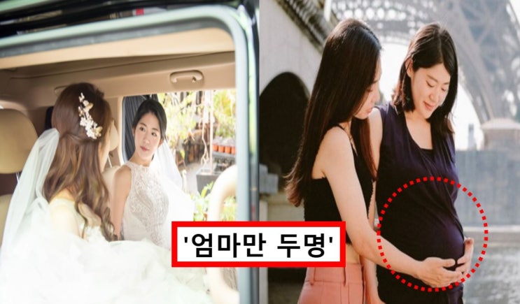 김규진 김세연 국내 첫 임신 레즈비언 부부 네이버 블로그