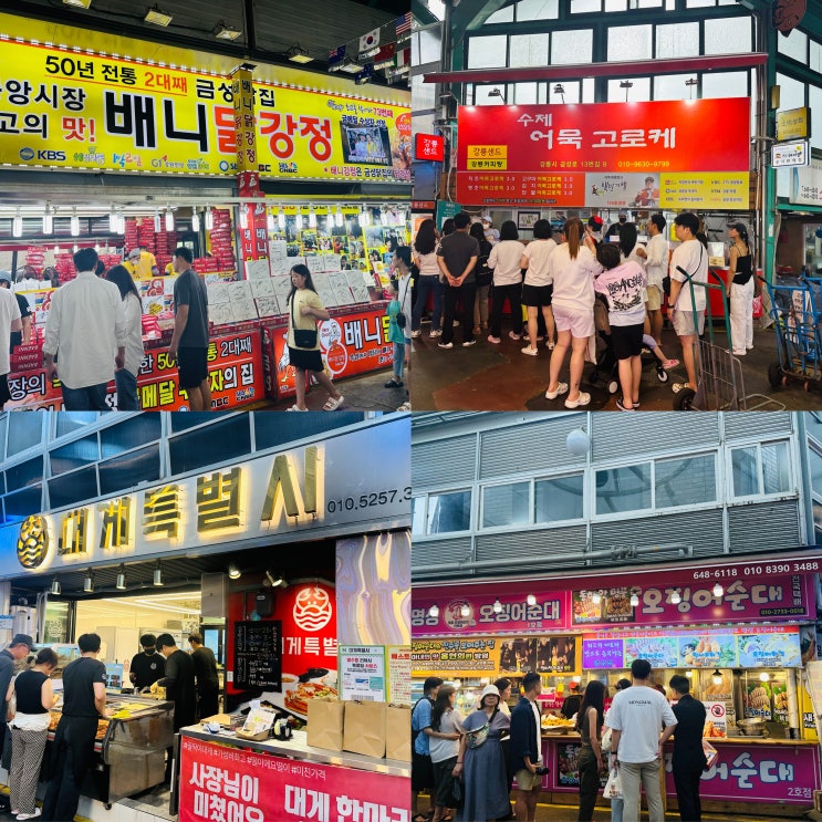 강릉 중앙시장 먹거리 회센터 월화거리 야시장 영업시간 및 주차 네이버 블로그