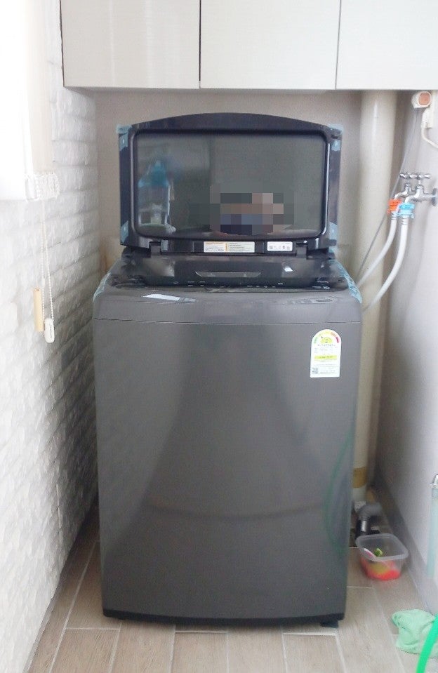 LG통돌이세탁기 21kg (T21MX9) : 네이버 블로그