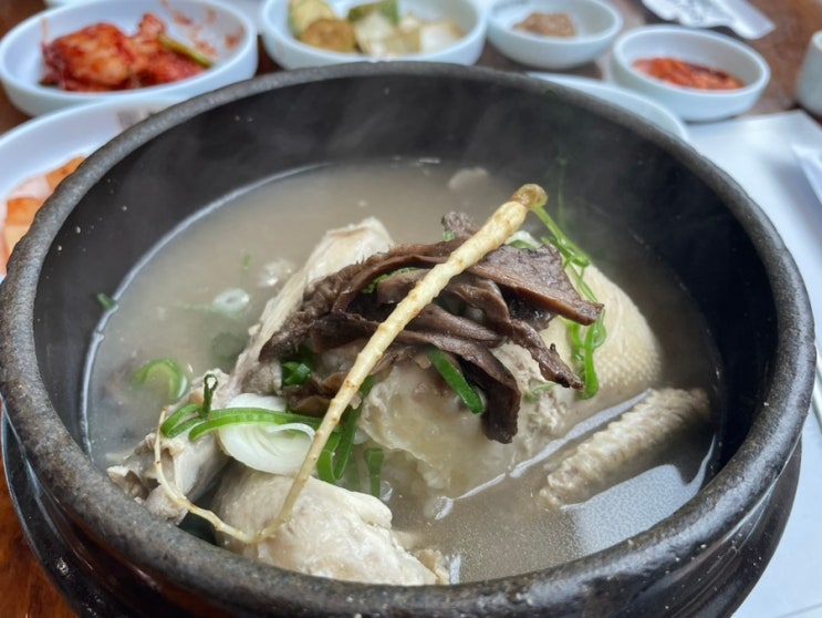 구미 인동 한방 참옻 산삼 배양근 능이버섯 상황버섯 전복 삼계탕 맛집 Feat 대가야 삼계탕 본점 네이버 블로그
