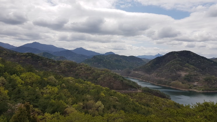 배우자상속재산분할기한까지 상속재산분할을 하지 않았음을 이유로 배우자 상속공제액을 5억 원으로 감액하여 상속세를 부과 고지한