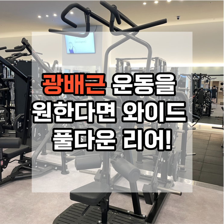 [하남헬스/미사헬스/미사pt/하남pt/메가나인피트니스] 광배근 운동을 원한다면 와이드 풀다운 리어! : 네이버 블로그
