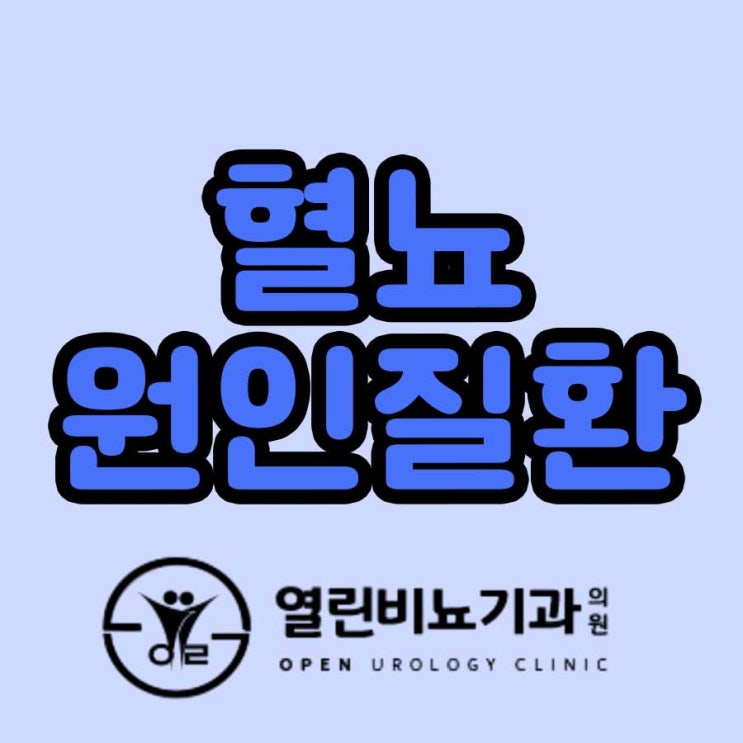 갑자기 소변에서 피가 나온다면 혈뇨 발생시 의심되는 질환 동대문 청량리미주아파트비뇨기과 혈뇨원인 질환 방광암 요로결석 요로감염