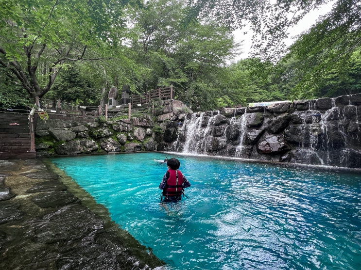 제암산자연휴양림 보성 계곡 물놀이장에서 슬기로운 여름방학 보내기⭐ 네이버 블로그