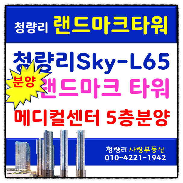 명품메디컬센터 청량리역롯데캐슬스카이sky L65랜드마크타워상가5층 분양합니다 Feat청량리사랑부동산 네이버 블로그
