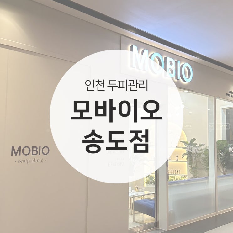 인천 송도 두피 탈모관리샵 추천 모바이오 송도 친절과 짬바가 느껴지는 관리 네이버 블로그