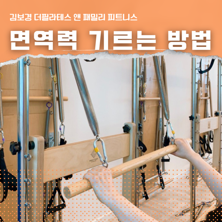 창원 북면 대기구필라테스와 김보경 더 필라테스 앤 패밀리 피트니스 네이버 블로그