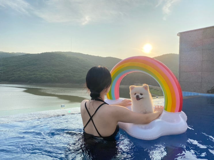 경주 애견동반 숙소 루스풀빌라 반려견과 이른 여름휴가 네이버 블로그